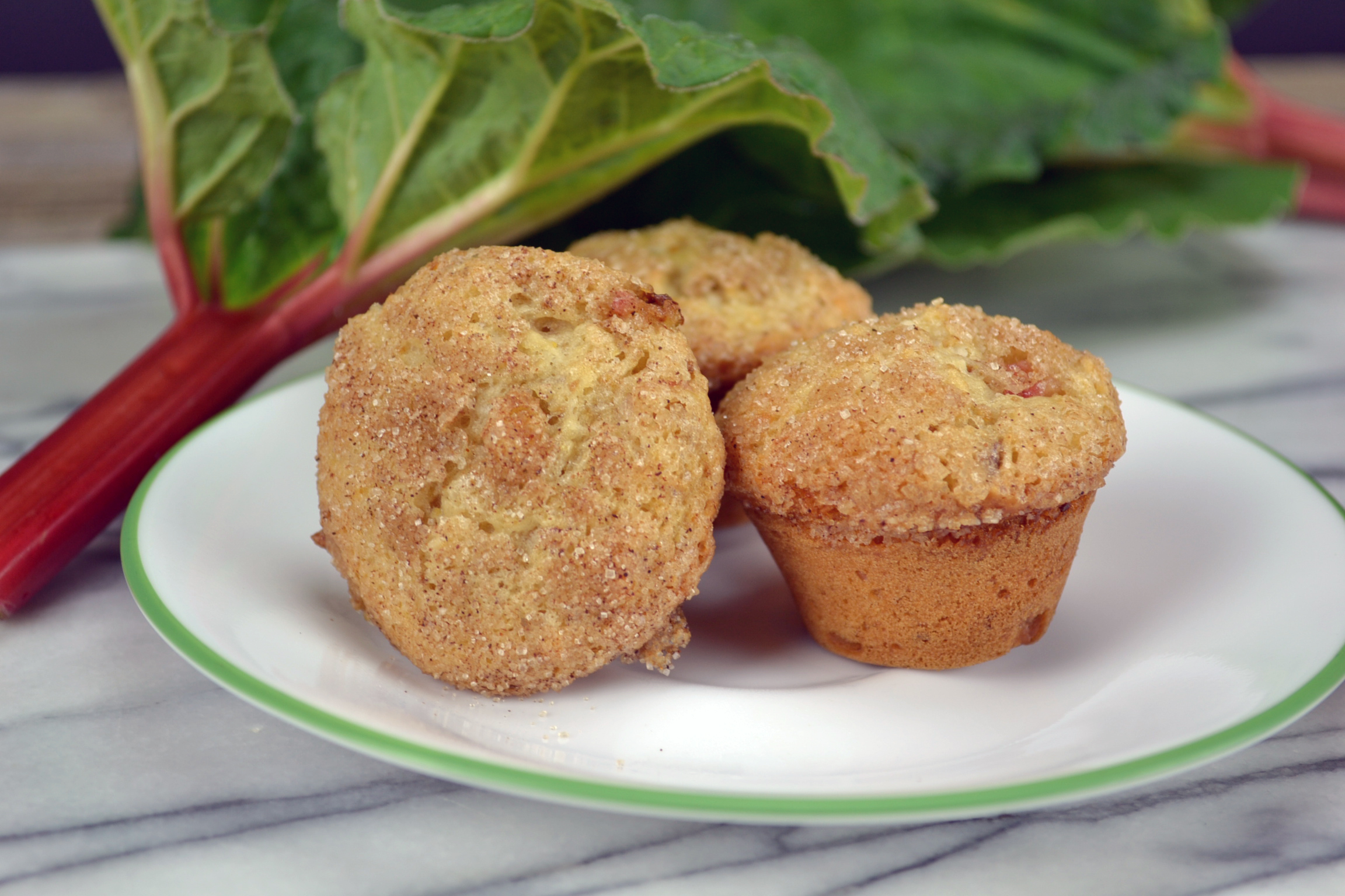 Rhubarb Coconut Bites - A Vital Yopp!