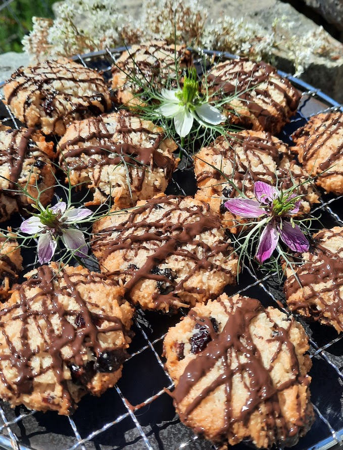 Crazy Easy Coconut Almond Macaroons - A Vital Yopp!