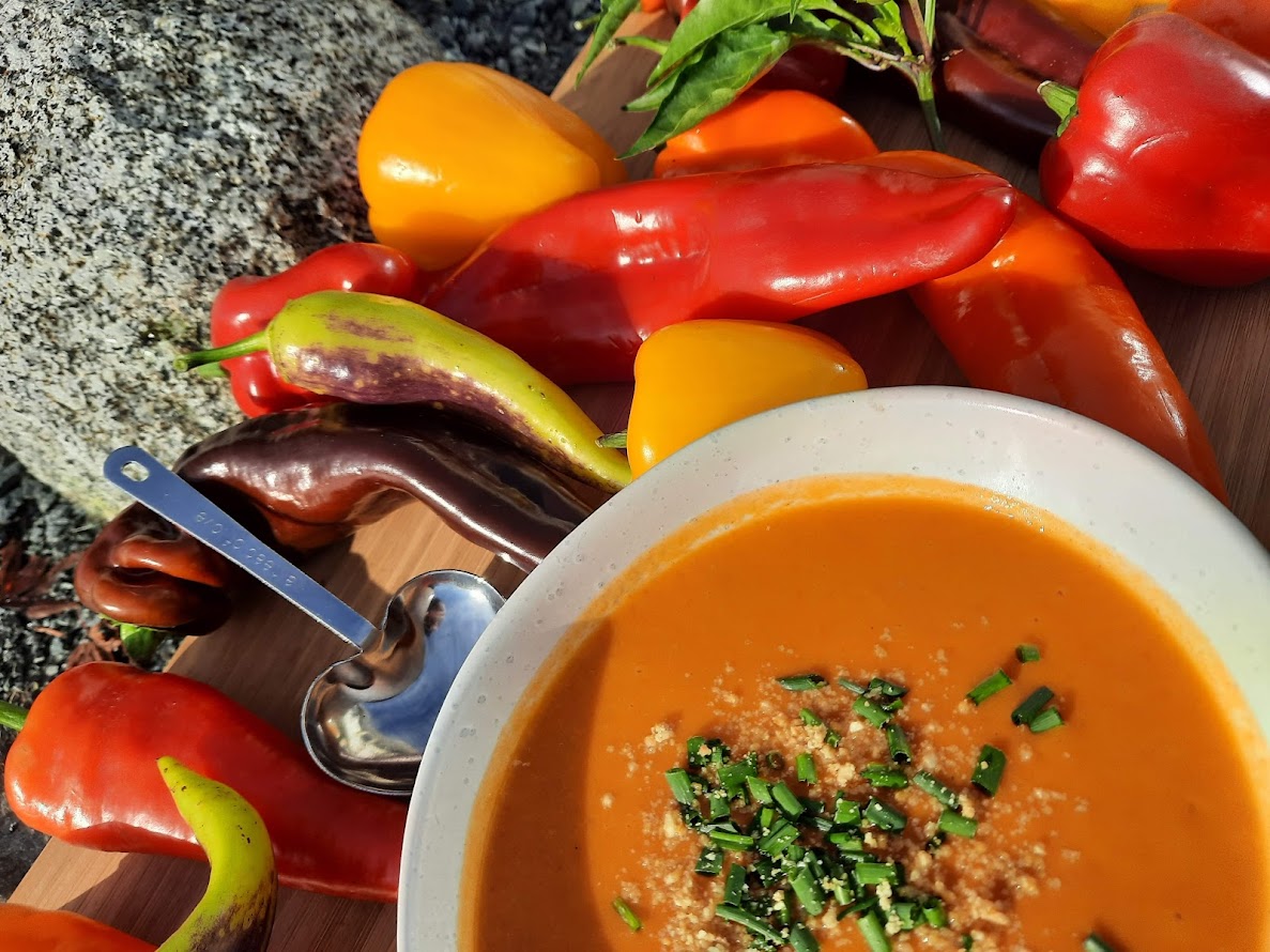 Roasty Rainbow Pepper Soup - A Vital Yopp!