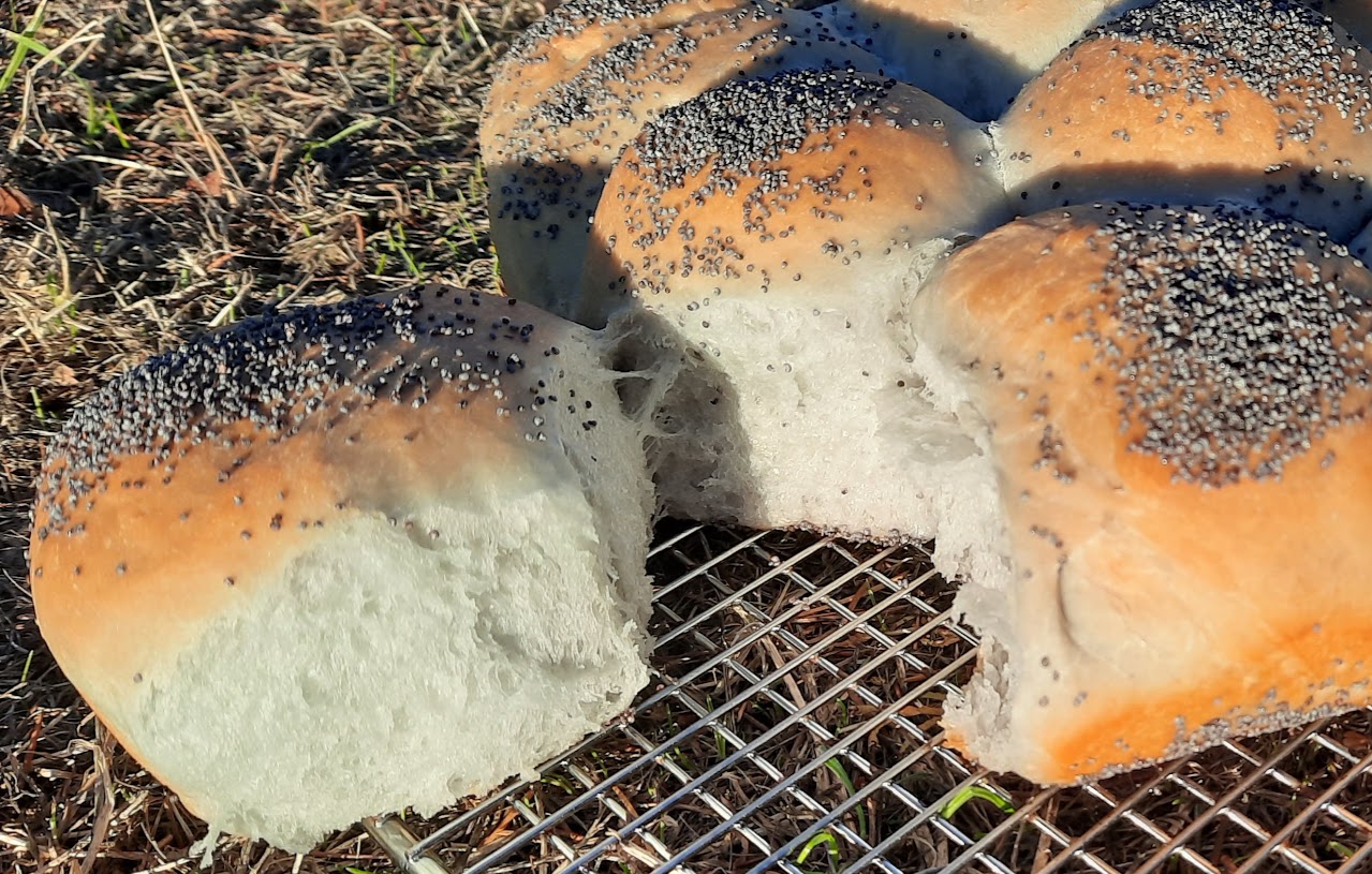 Sweet Blue Poppy Seed Buns - A Vital Yopp!